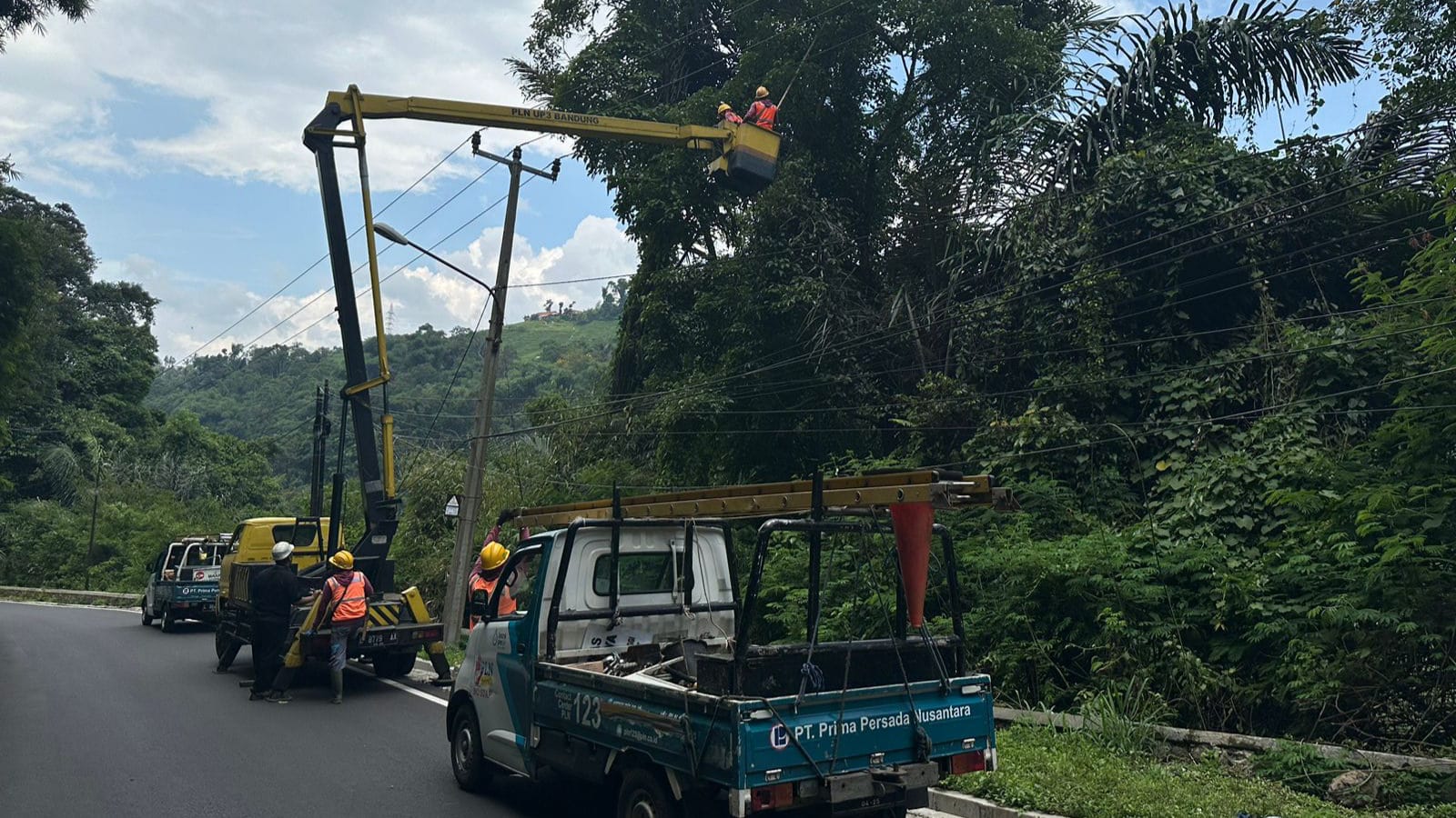 Petugas PLN UP3 Sumedang Diterjunkan, Pohon Rawan Tumbang di Jalur ...